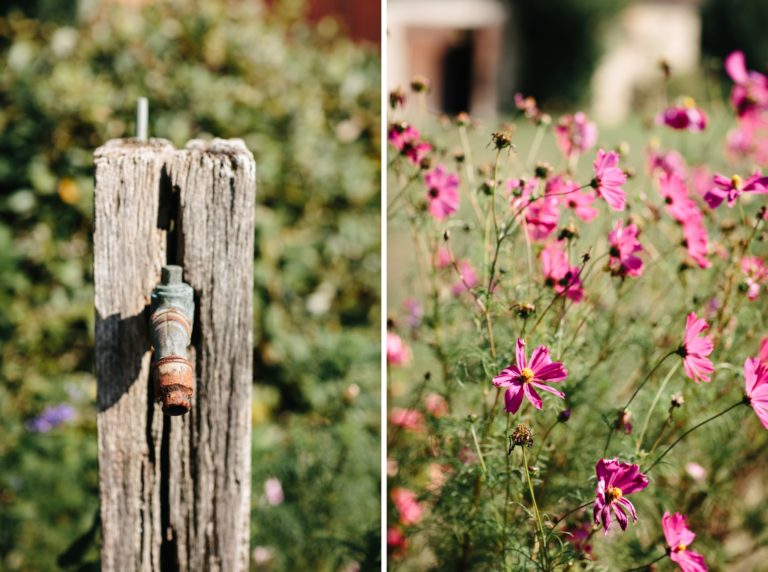 STEPH + JOSE GERMANY | BIG SUR WEDDING PHOTOGRAPHERS